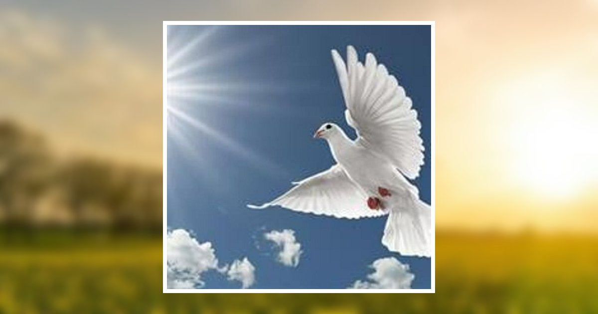 Beverly Ann Mayhew Lockhart Obituary 2023 - Wiederspahn Radomsky Chapel ...