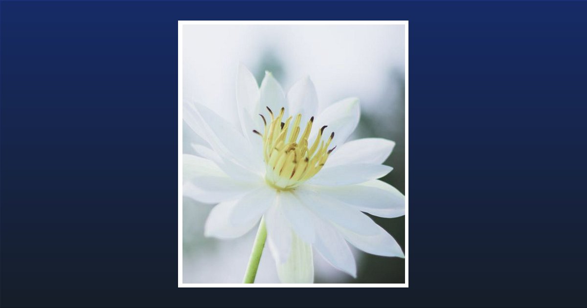 Elizabeth "Betty" Kroll Obituary August 17, 2024 - Nimsgern Funeral Home