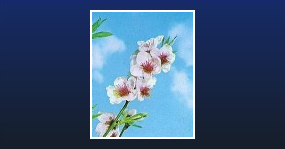 Terry Ann Williams Obituary August 20, 2023 - Slone and Co. Funeral ...