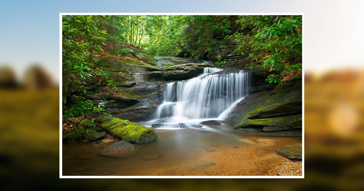 Priscilla A. Romano Obituary January 4, 2018 - Moloney Family Funeral ...