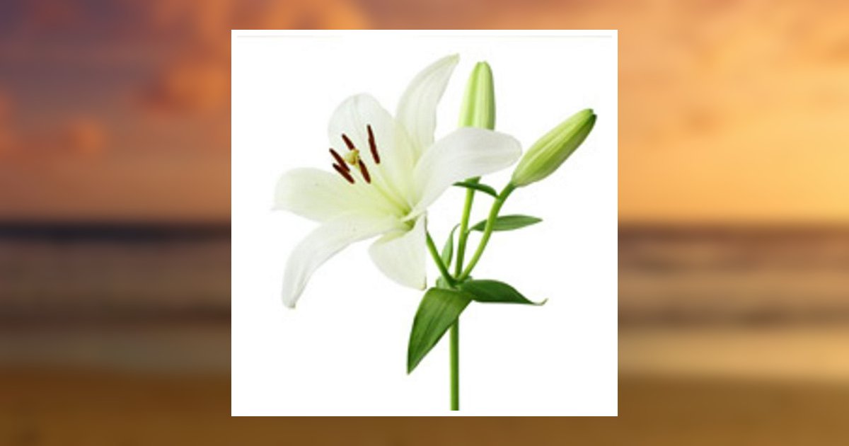 Helen Joyce Loften Obituary August 19, 2022 - Fidler-Isburg Funeral ...