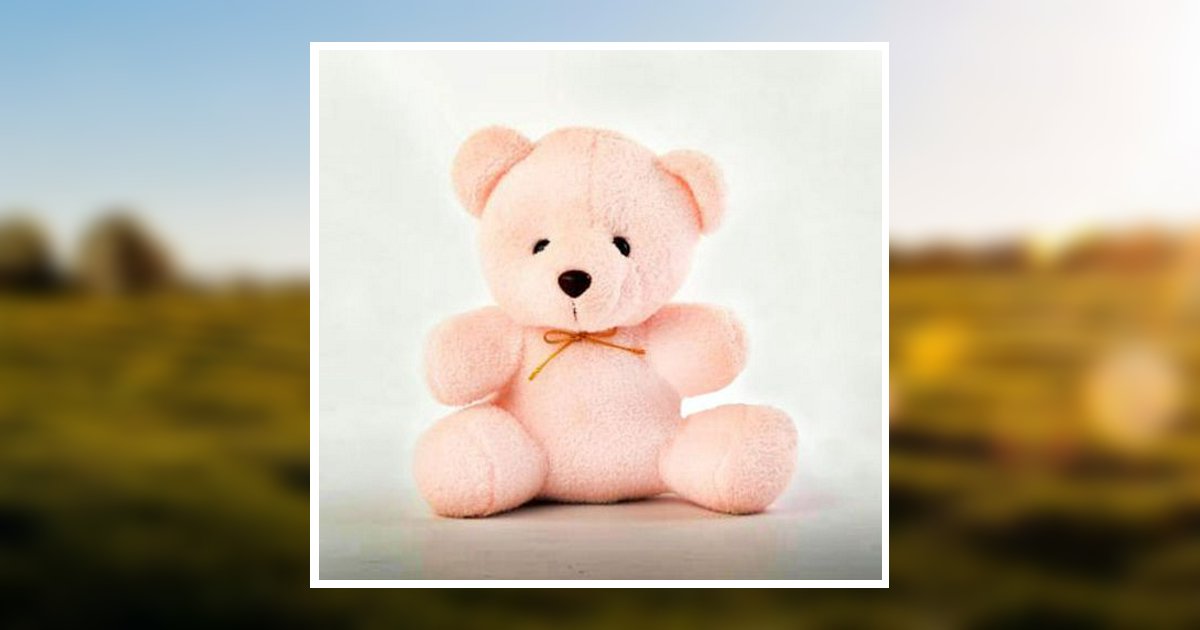 Mercy Jo'Elle Rubin Obituary July 11, 2022 - Johnson Funeral Home