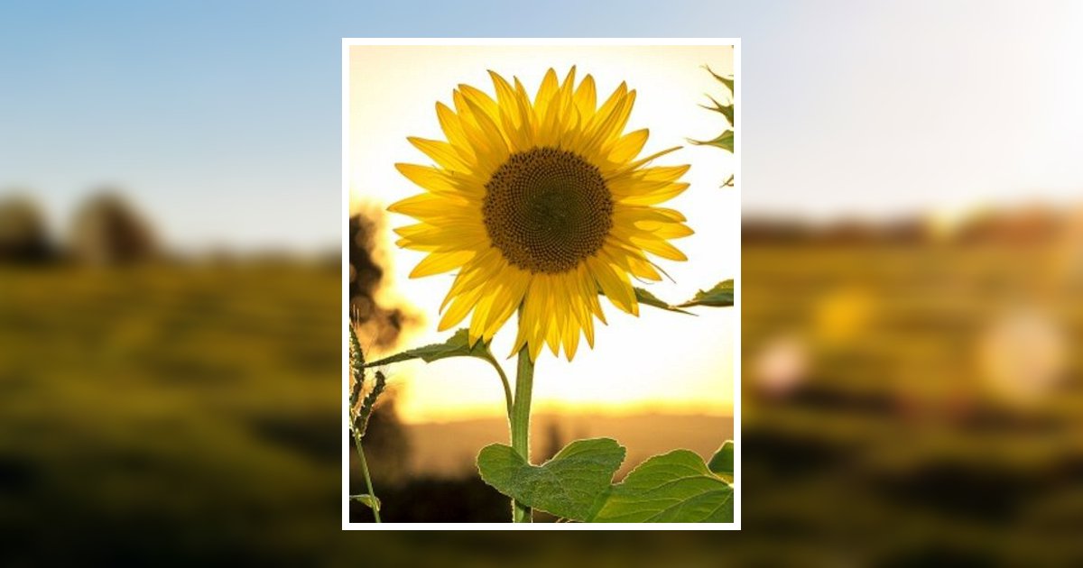 Susan Buis Obituary October 27, 2021 - Paradis-Givner Funeral Home