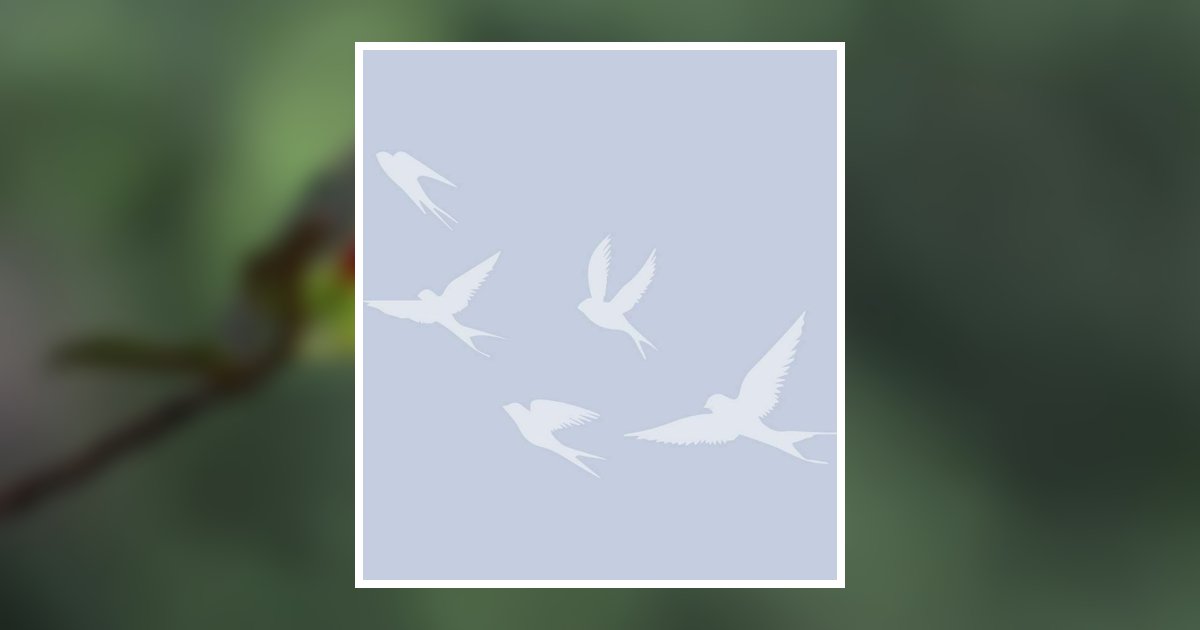 Rosa Vessia Suggs Obituary January 3, 2026 - Butler Funeral Home