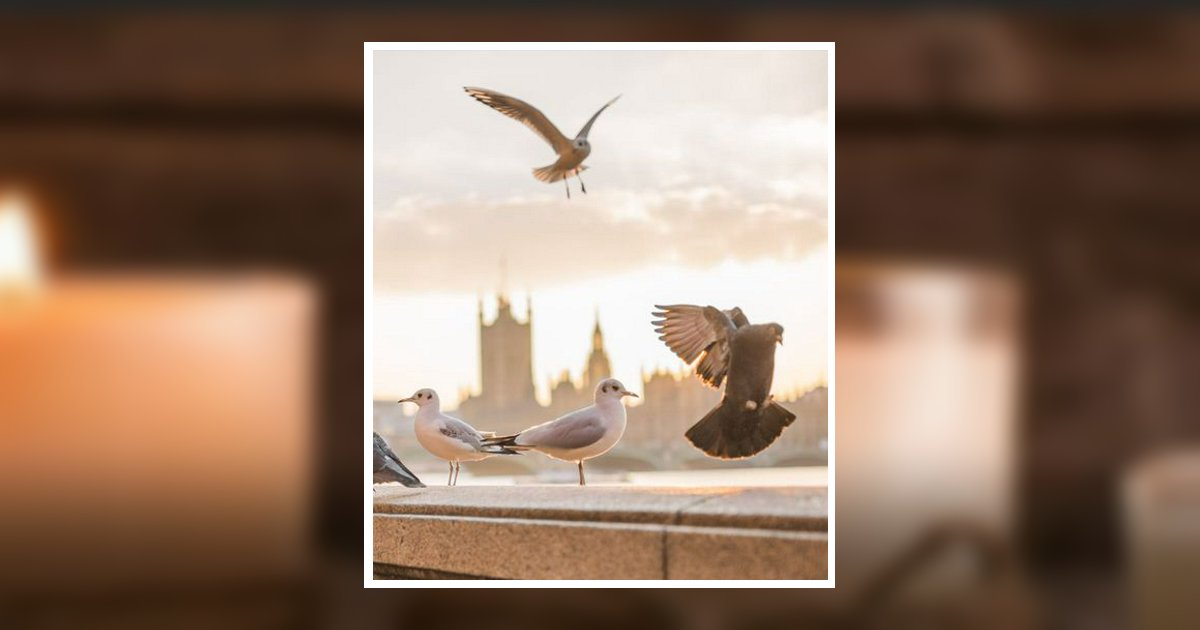 John Robert Mazer Obituary July 28, 2024 - Lord & Stephens Funeral Homes