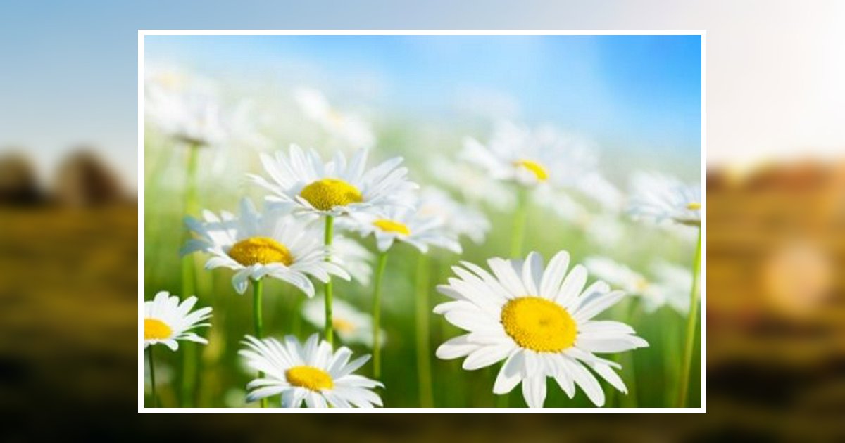 Geraldine Marian Newton Obituary November 29, 2018 - Thomas Miller Mortuary Geraldine Marian Newton Obituary November 29, 2018 - Thomas Miller Mortuary