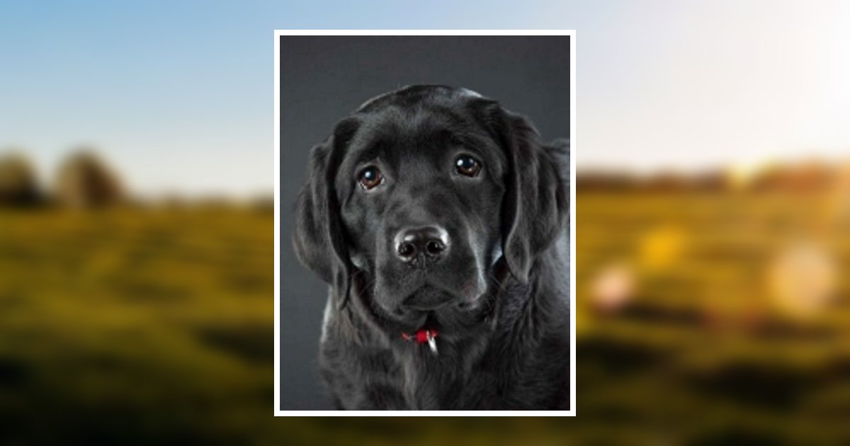 William R. "Bill" Leider Obituary December 23, 2021 - Mueller Funeral ...