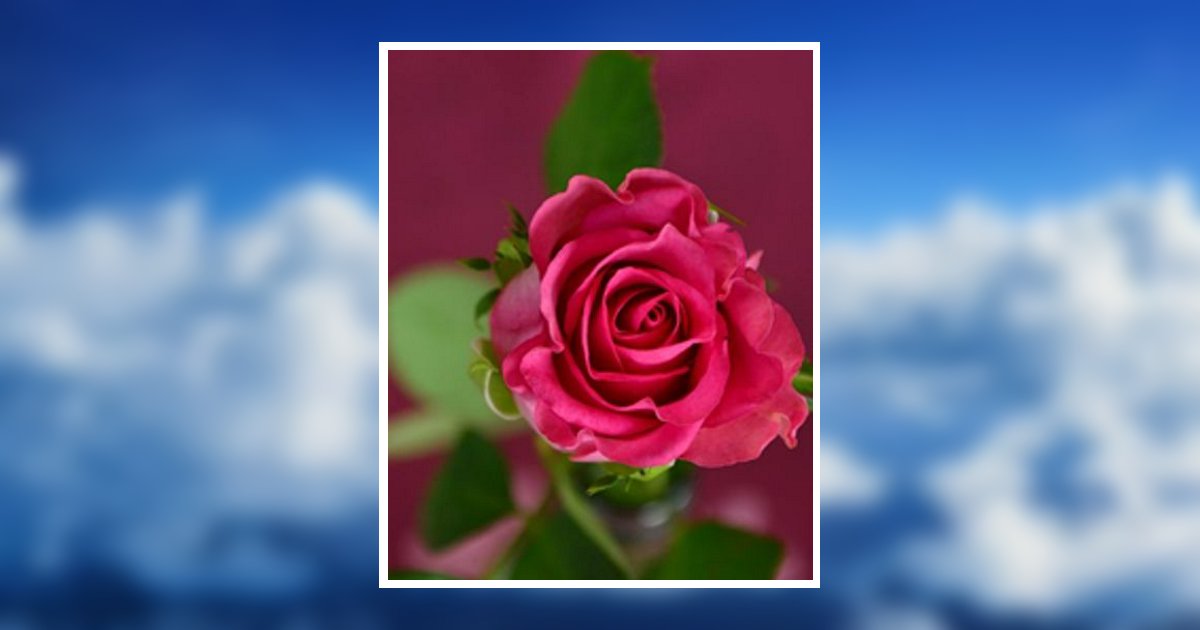 Ida S. (Solla) D'Addona Obituary June 2, 2021 - Waterbury & Kelly ...