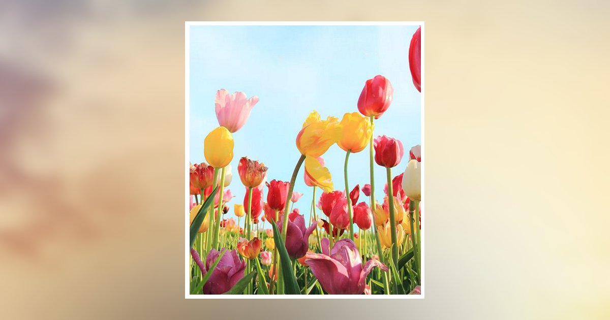 Lois C Pauluzzi Obituary March 30, 2025 - Gentry-Newell & Vaughn ...