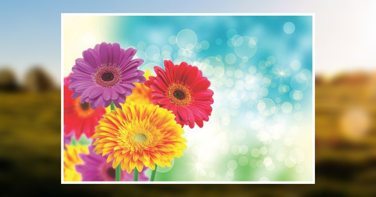 Amy Gutz Obituary May 8, 2020 - Kessler & Maguire Funeral Home