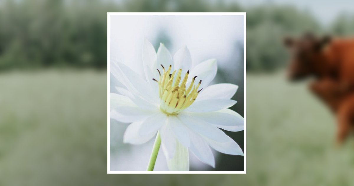 Ethel Morea Obituary March 31, 2024 - Green Funeral Home