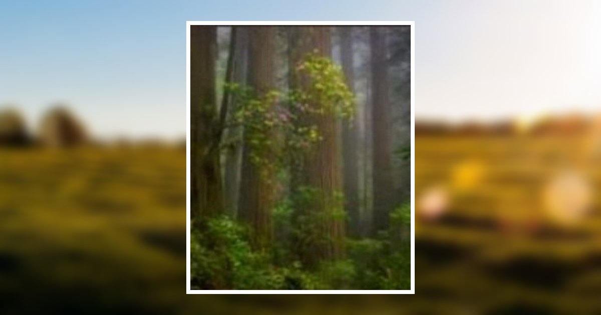 Scott Whitten Obituary July 1, 2010 - Schaudt Funeral Service ...