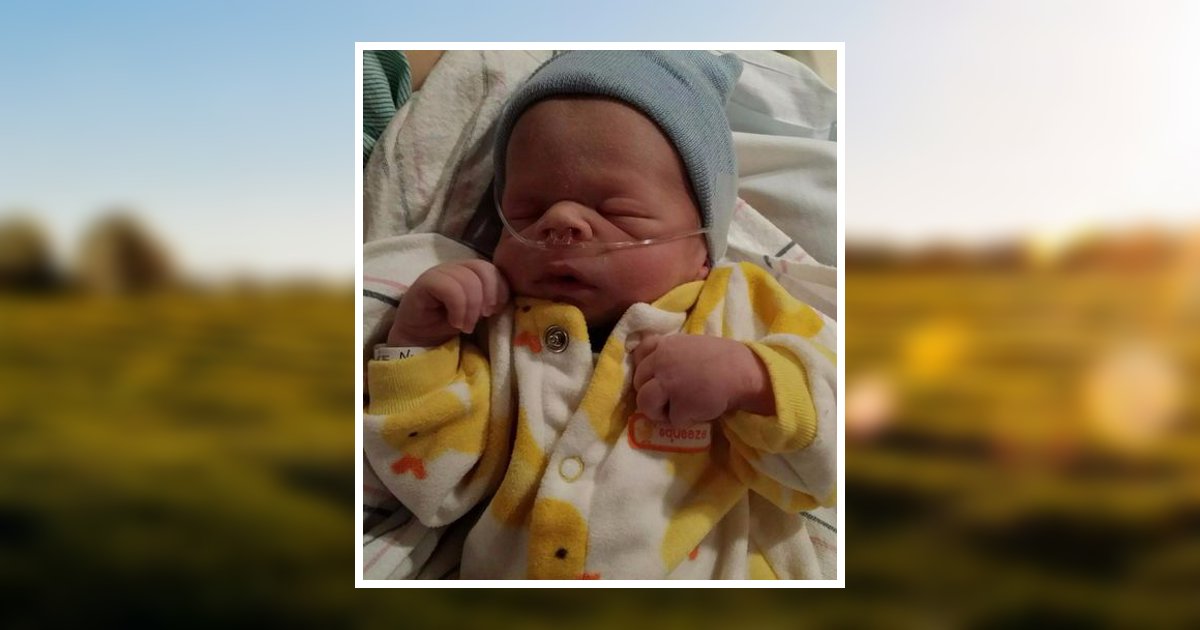 Oliver Lee Wade Cull Obituary February 27, 2016 - Flanner Buchanan ...