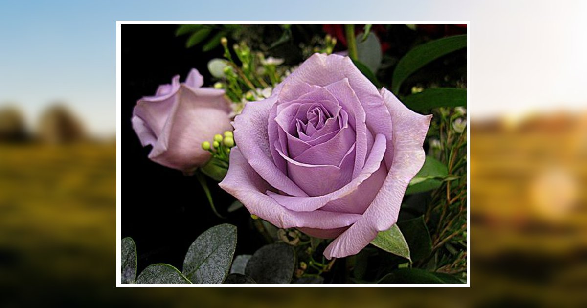 Lana Ruth Howell Obituary May 12, 2025 - Lewis & Gillum Funeral Homes