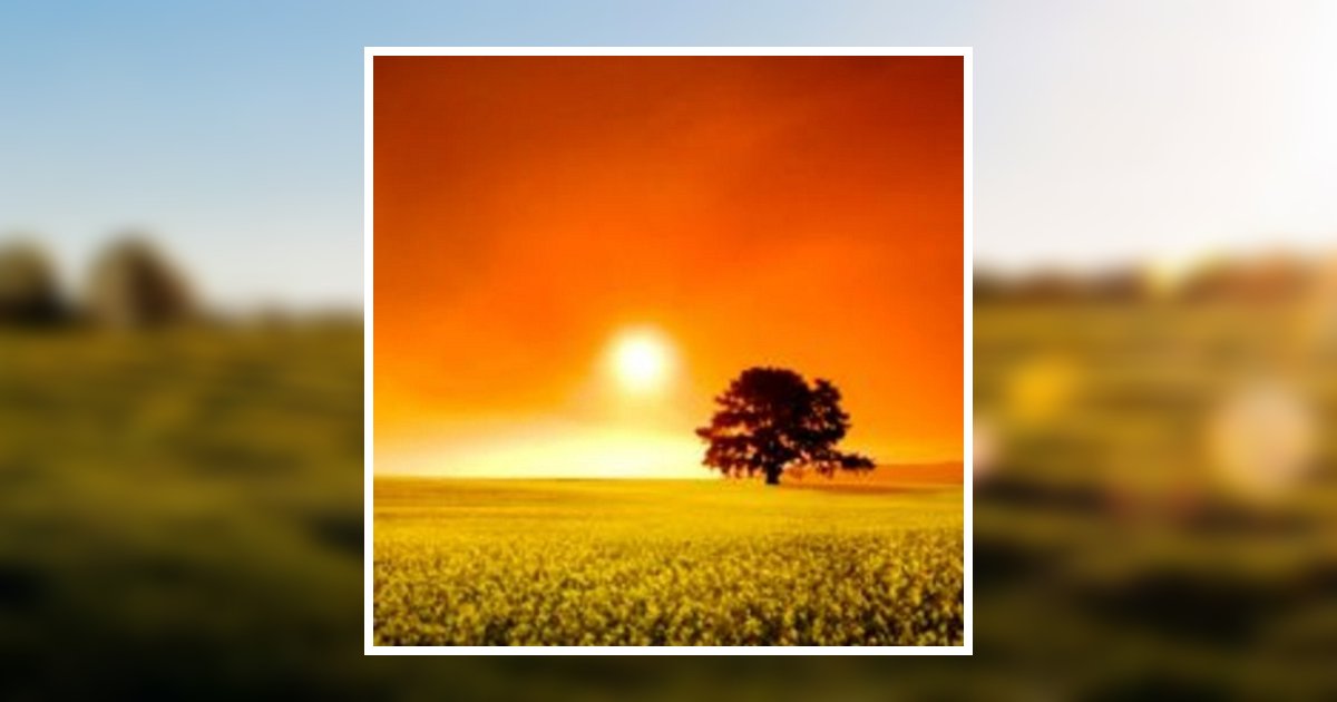 Harry Rosenbaum Obituary January 24, 2016 - Thomas Miller Mortuary