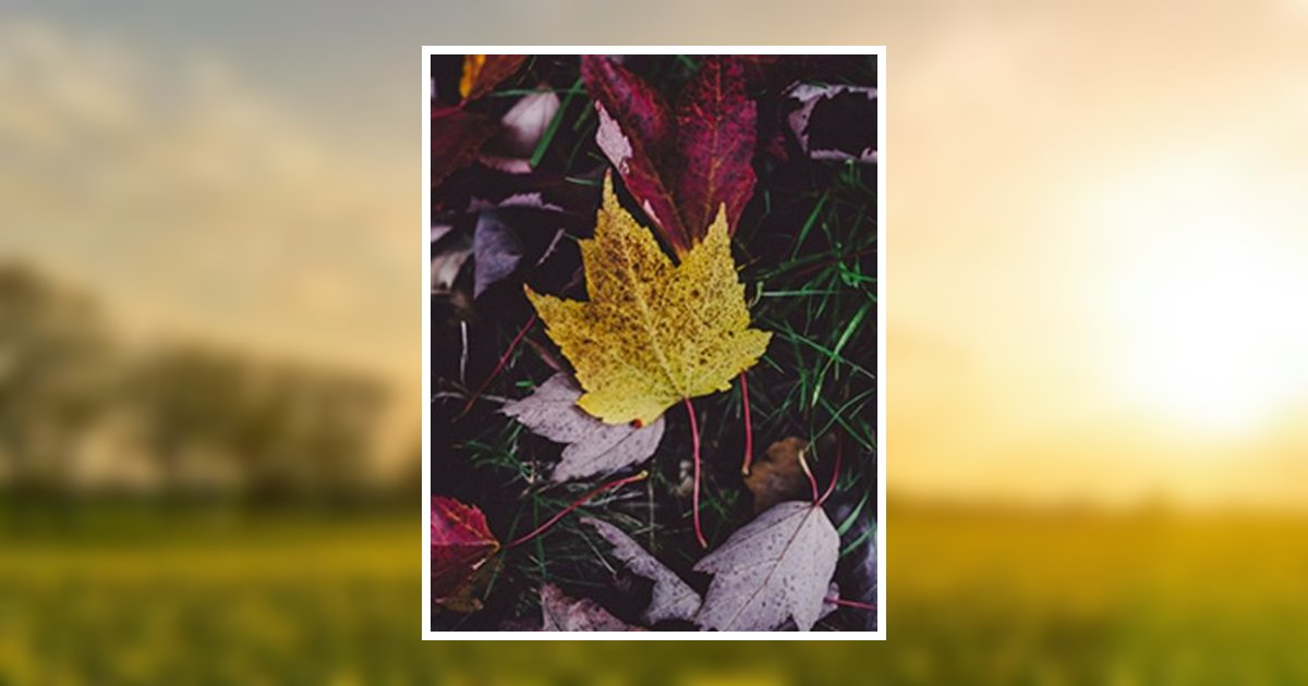 Robert "Bob" L. Toth Obituary October 15, 2023 - Paquelet Funeral Home