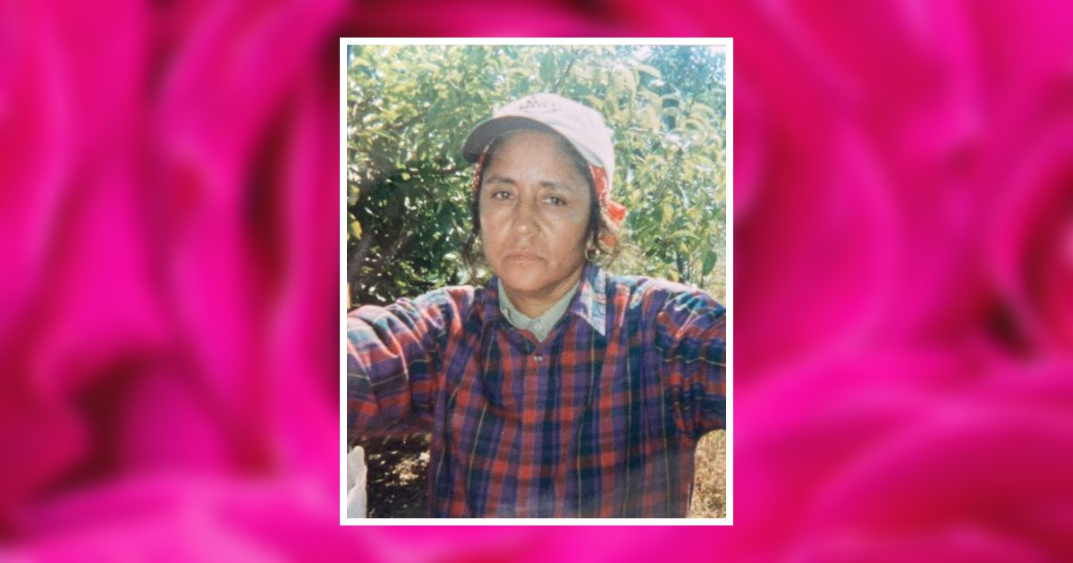 Maria Irene Castillo Obituary May 26, 2025 - Allred Funeral Home