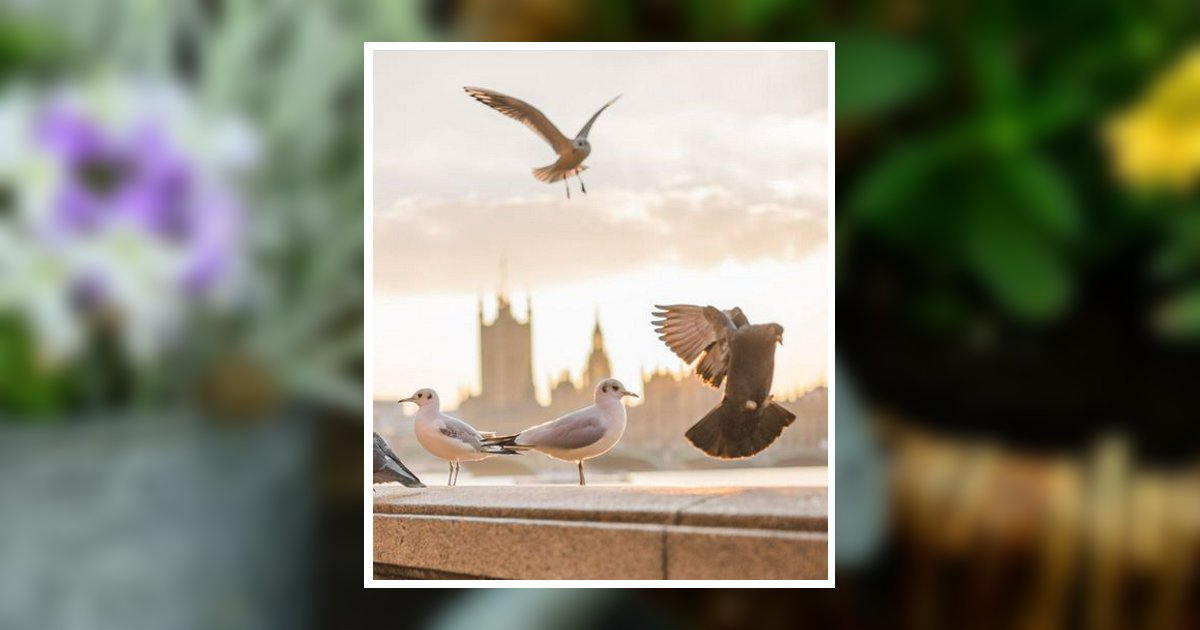 Melinda Michelle Cates Obituary September 28, 2023 - Evans Mortuary