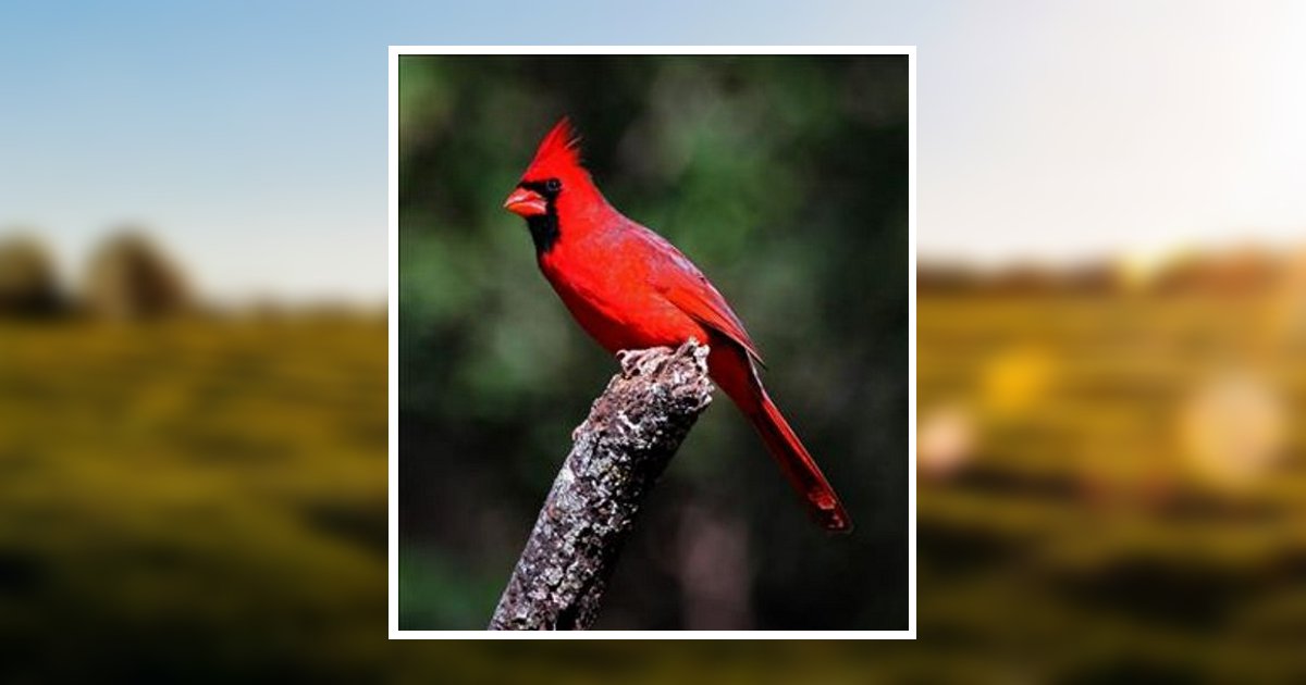 Candace Erickson Obituary November 12, 2016 - Mattson Funeral Home ...