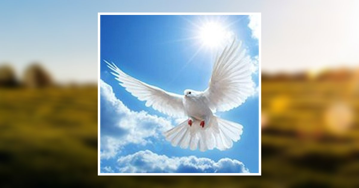 Theodore Rutkowski Obituary July 26, 2009 - Enea, Ciaccia & Applegate ...