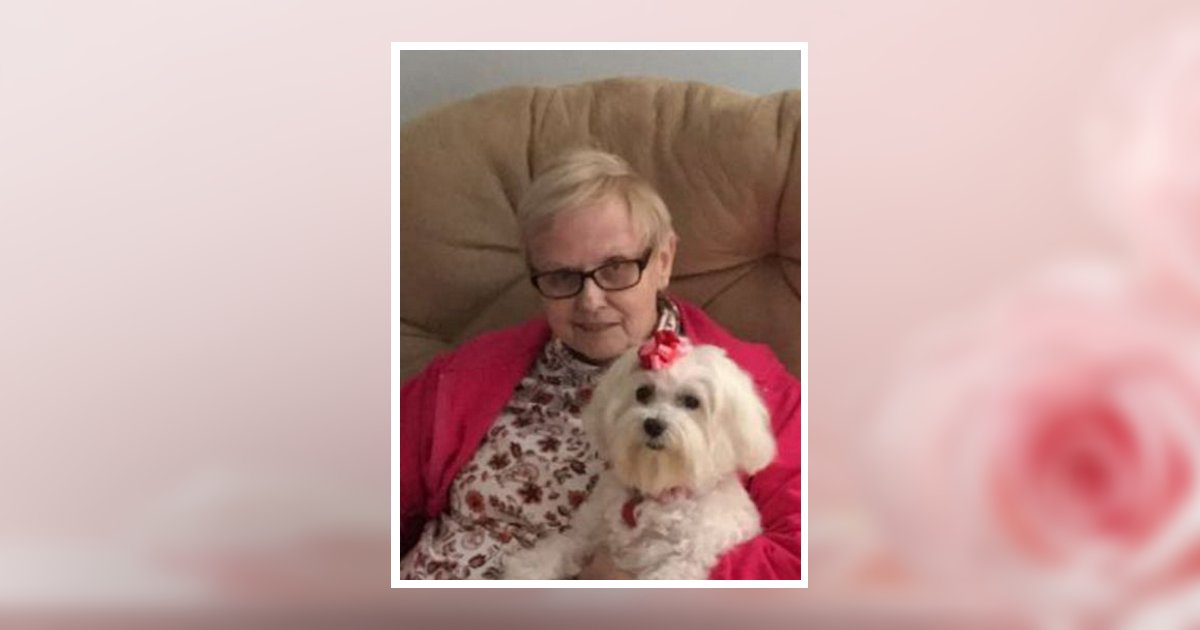 Nancy Millette Obituary November 18, 2024 - Bradford Lawrence Funeral Home