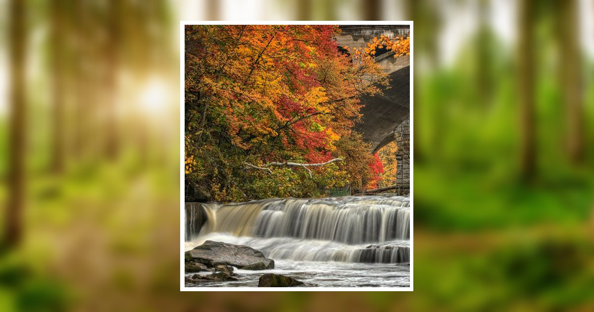 Harry Clifton Williams, Jr. Obituary October 13, 2025 - Harris Funeral ...