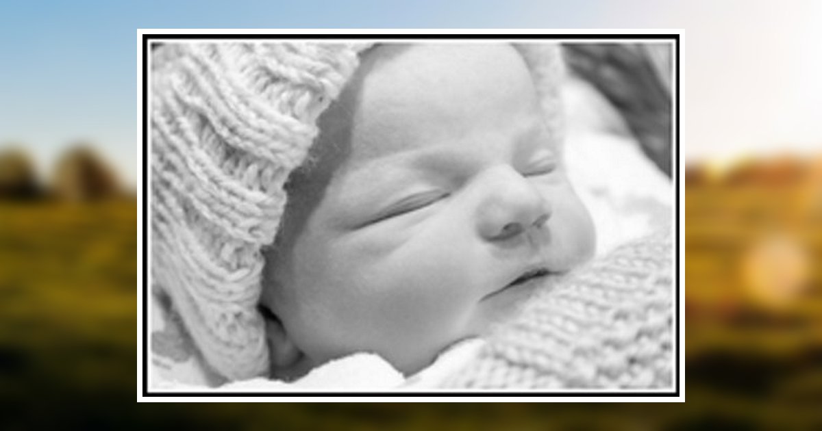 Francesca Mireille Priebe Obituary - Hoff Funeral & Cremation Service