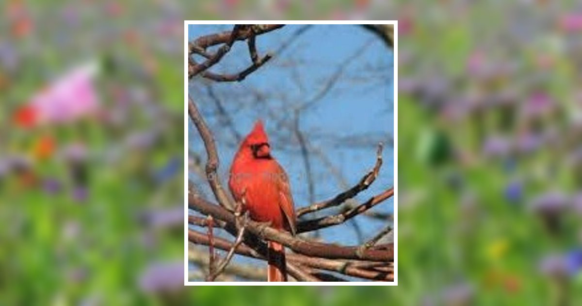 Curnetta Oakley Obituary December 23, 2025 - Mangano Family Funeral ...