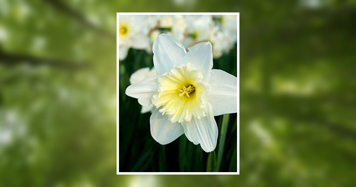 Sandra E. Garland Obituary August 24, 2025 - The Stuart Funeral Homes