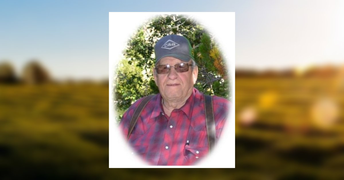 Alan Hutchinson Obituary July 6, 2025 - Stevenson Funeral Homes
