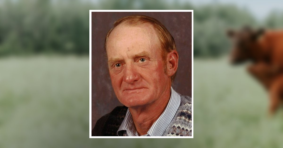 Dale W Nelson Obituary November 2, 2023 - Hullinger Mortuary