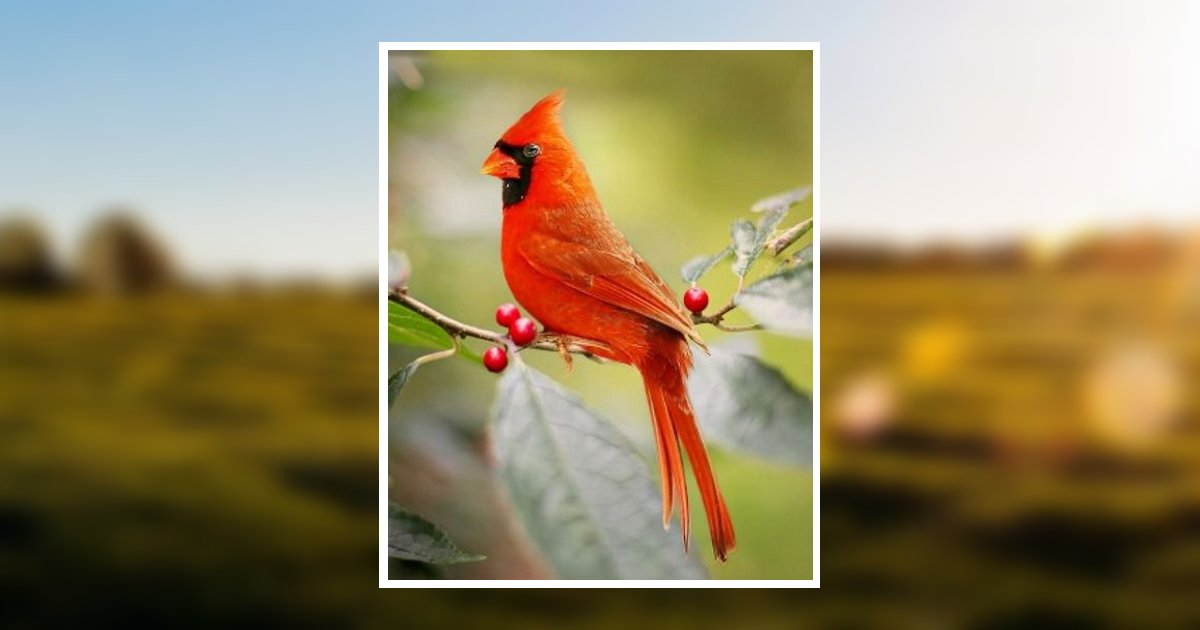 Teresa Buckner Obituary October 10, 2021 - A Simple Cremation