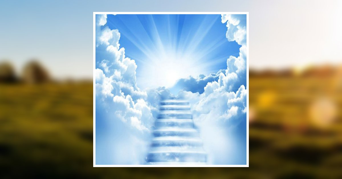 Troy Jean Burrows Obituary September 17, 2022 - In Their Honor Funeral ...