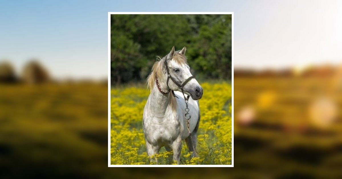 Sarah Elizabeth Sinclair Hixson Obituary January 15, 2021 - Davenport ...