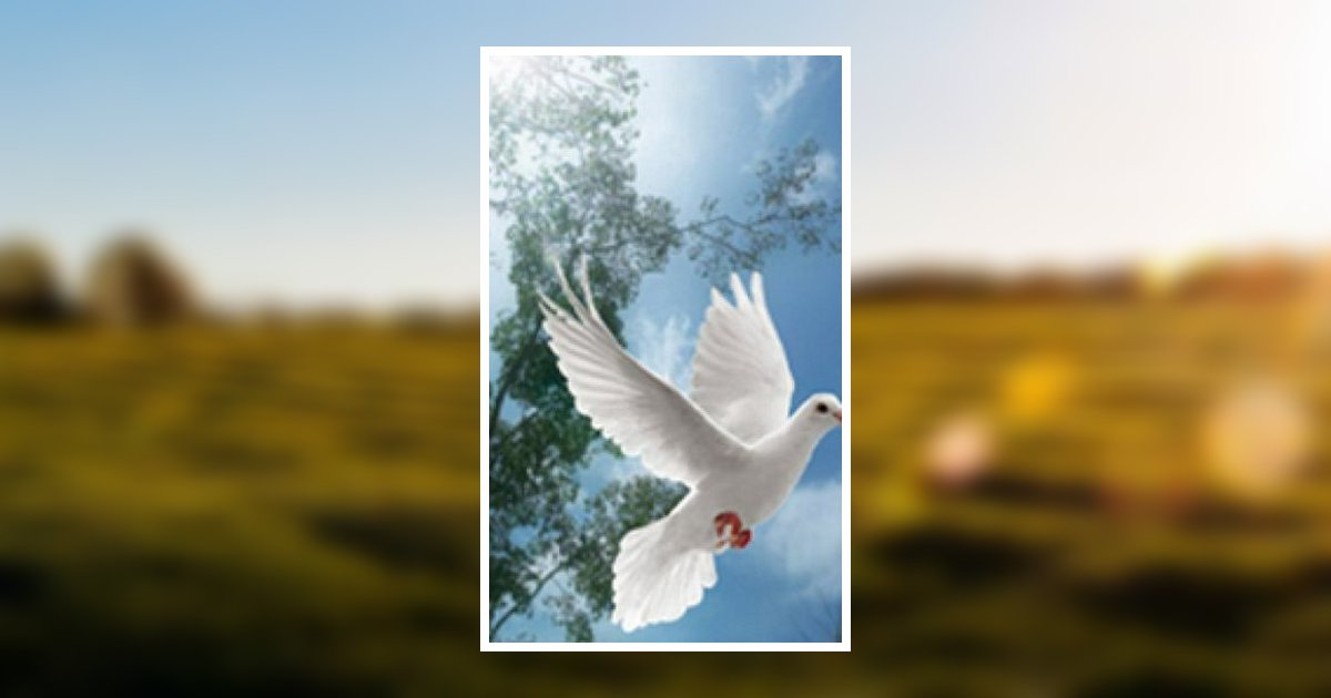 Harry W. Taylor, Jr. Obituary December 19, 2020 - Crippin Funeral Home