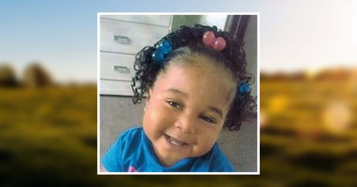 A'Zaylia "Zay Zay" Lashae Rogers Obituary 2014 - Chamberlain Huckeriede ...