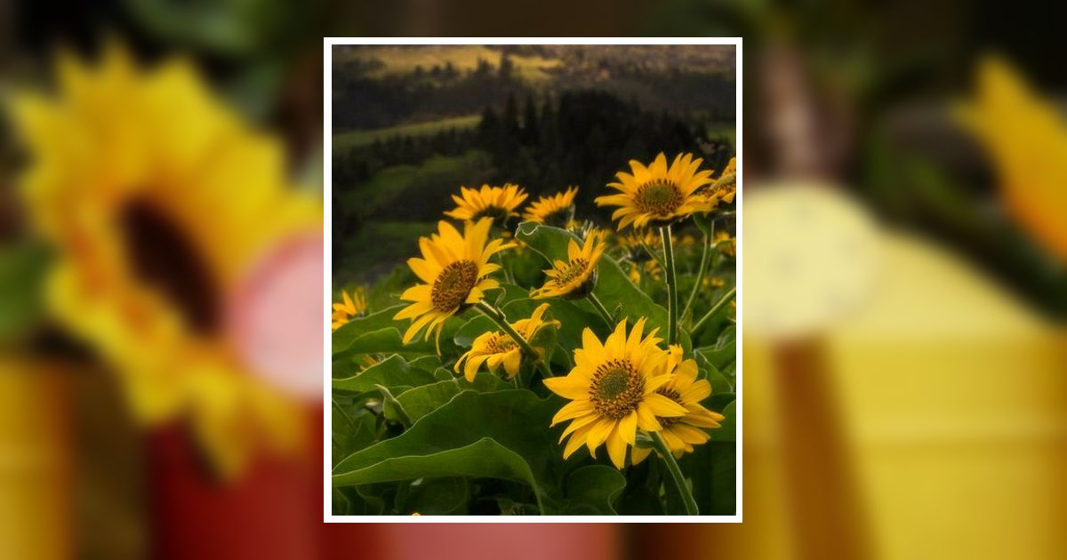 Joyce Hall Redmond Obituary July 6, 2023 - Wells Funeral Homes ...