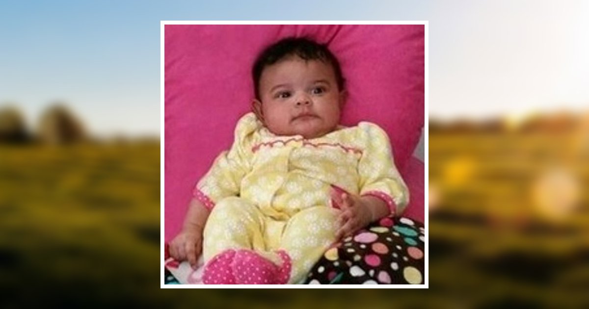 Isabelle Ann Terry Obituary August 11, 2016 - Gearty-Delmore Funeral ...