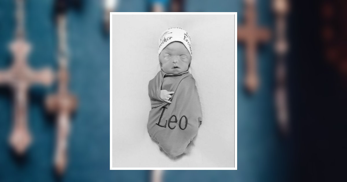 Edwin Leo Tate Obituary March 27, 2025 - Johnson Funeral Home