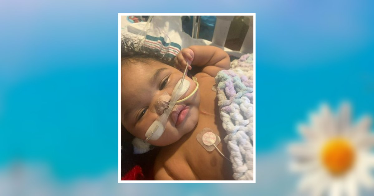 Baby Amara Amelia Jones Obituary April 5, 2024 - Hardy Funeral Home