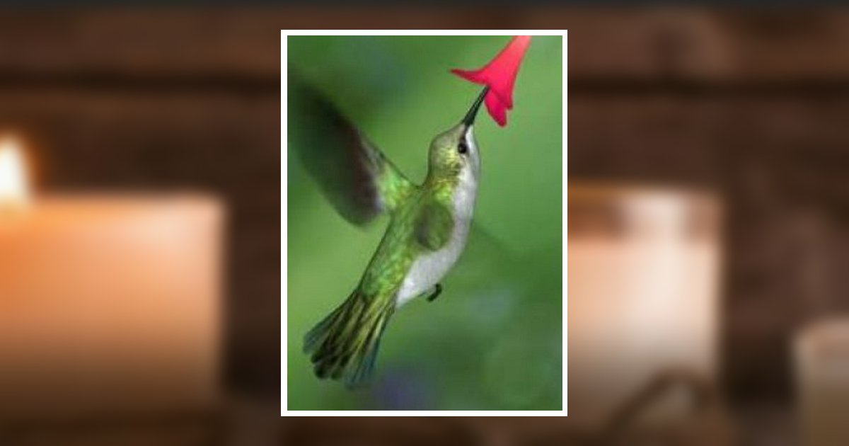 Anna Marie Latimer Obituary February 7, 2021 - Tharp Funeral Home ...