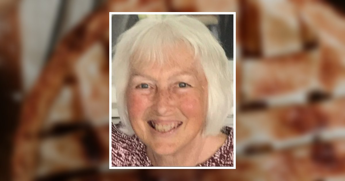 Linda C. Womer Obituary July 9, 2025 - New Comer Albany