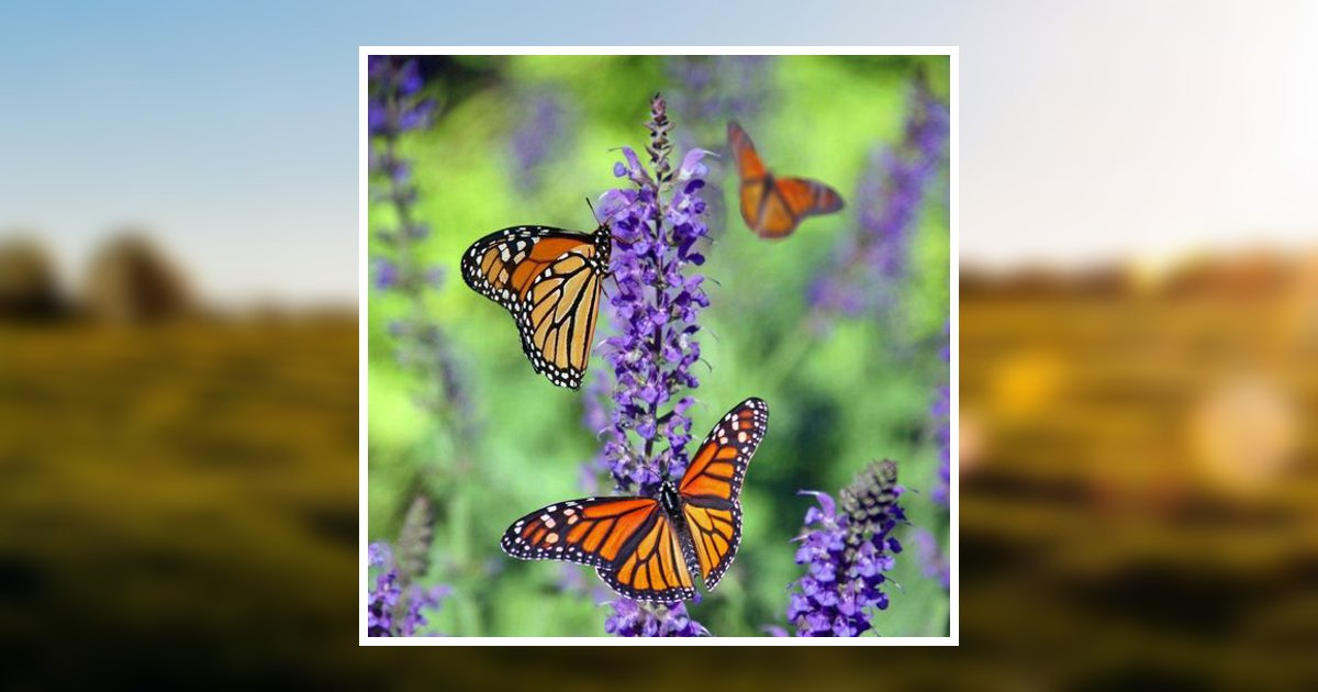 Beverly Demory Obituary March 13, 2024 - Murdoch Funeral Homes ...