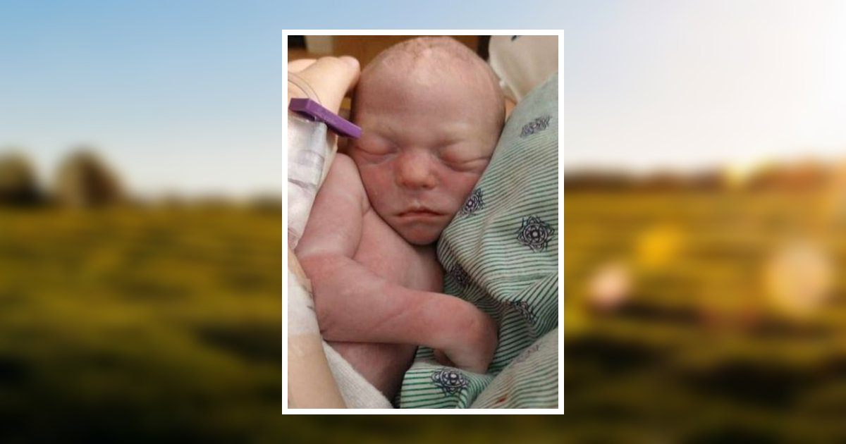 Zander Scott Stith Obituary February 5, 2022 - Grace Gardens Funeral ...