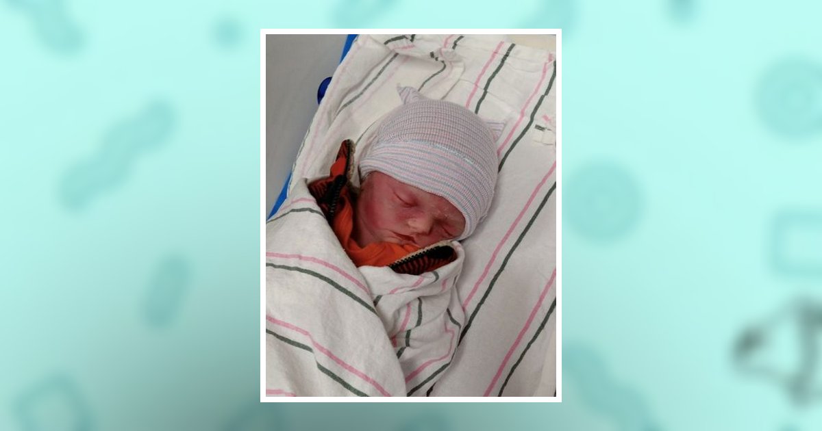 Loki Robert Alspaugh Obituary January 19, 2023 - Brosmer-Kemple Funeral ...