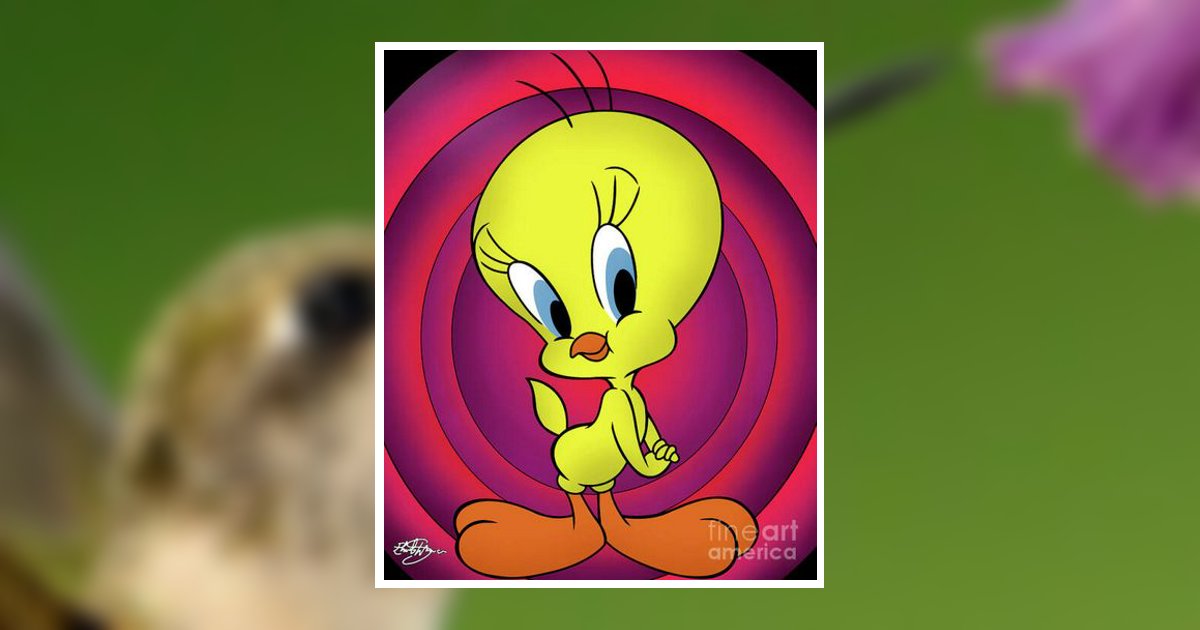 Ashley Talbert Obituary June 5, 2021 - Webb & Stephens Funeral Homes