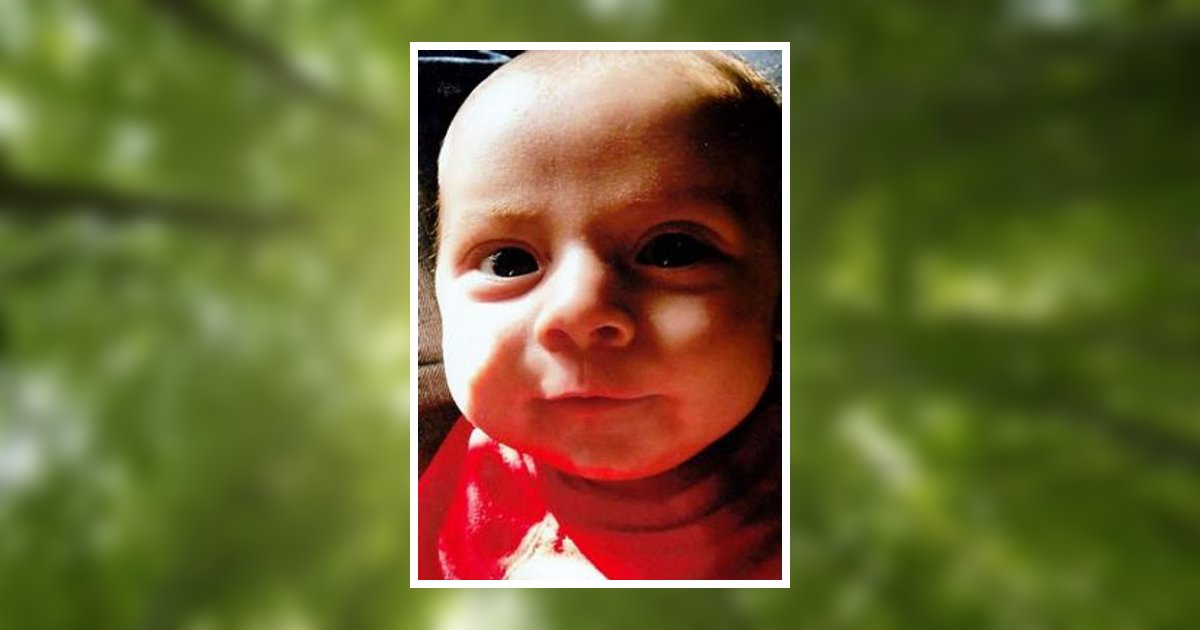 Bransyn Michel Daniel Obituary March 5, 2016 - Elliott-Gentry-Carder ...