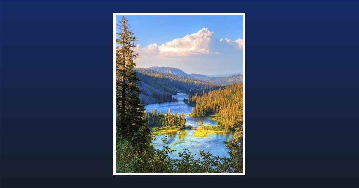 Scott Sather Obituary February 28, 2020 - Bradshaw Funeral