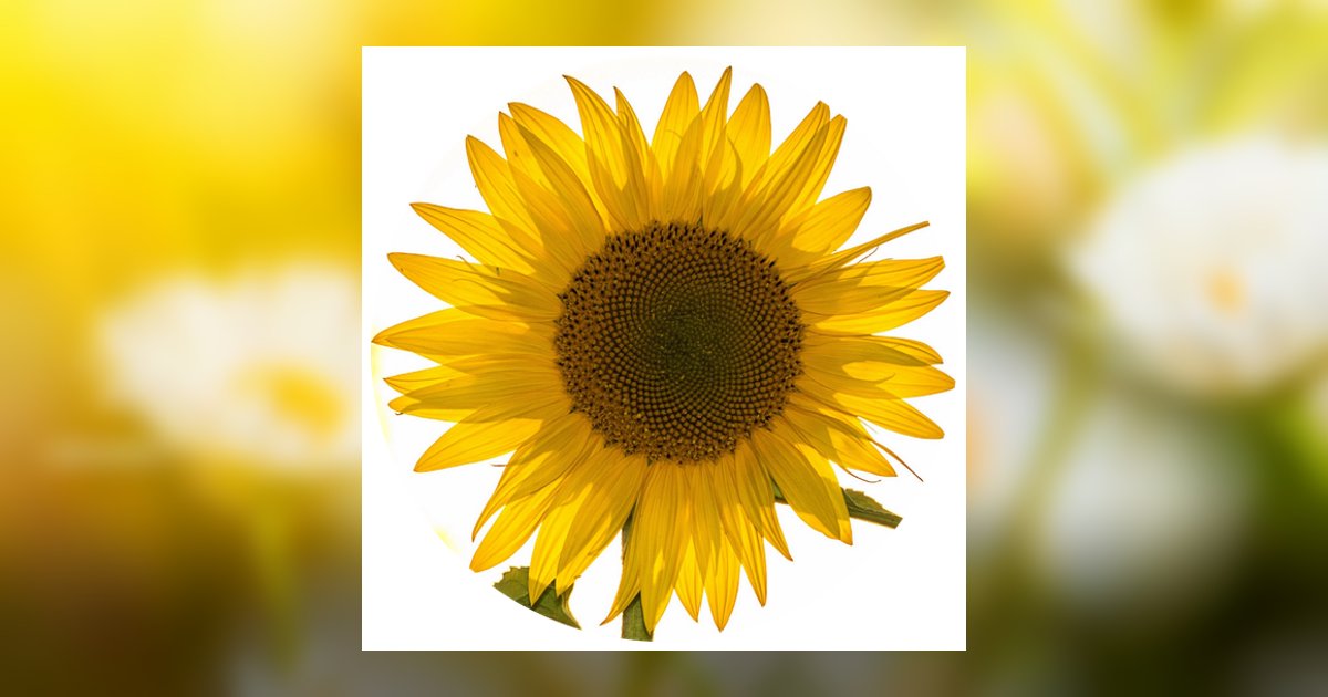 Julie Stockman Obituary 2022 - Eastgate Funeral & Cremation Services