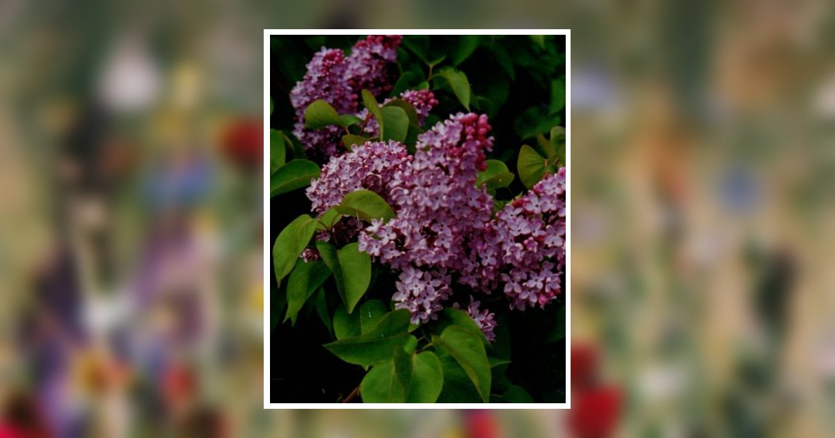 Pamela Ann Marks Obituary January 15, 2024 - The Lake Funeral Home and ...